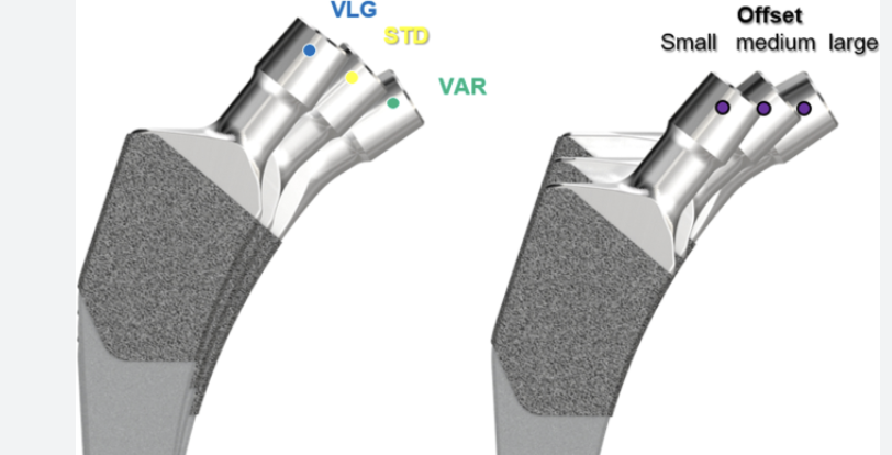Offset | The Bone School